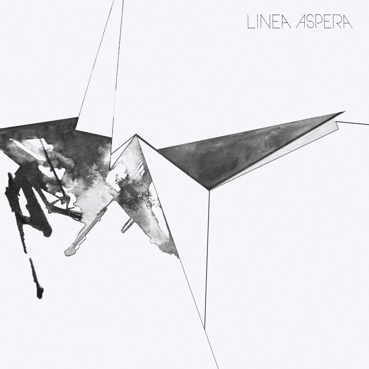 Linea Aspera | Linea Aspera