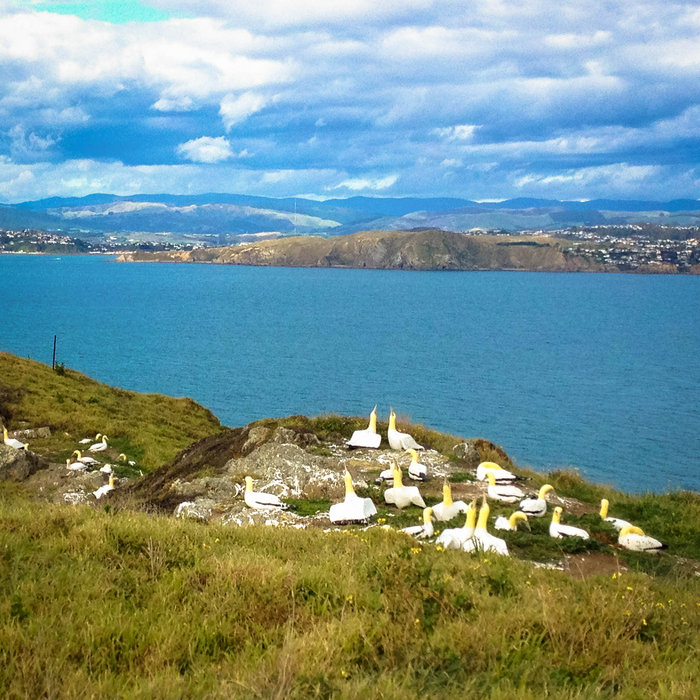 Nigel No Mates | Dienews