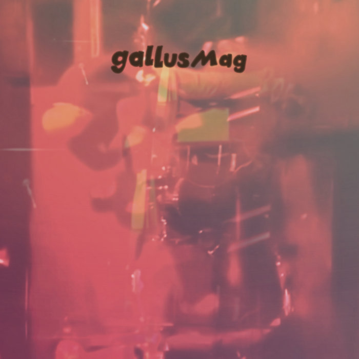Live! in November | Gallus Mag