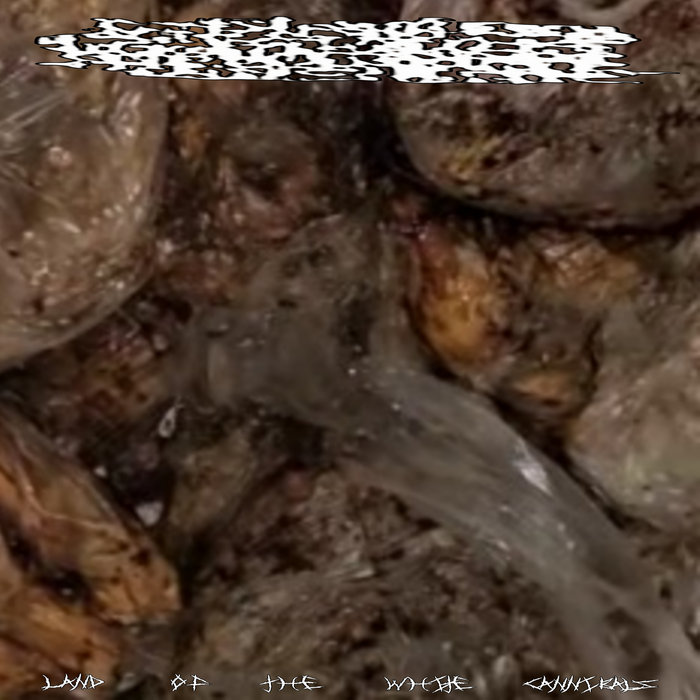 Maggots Devouring The Corpses of Descomposed Corspes of the White ...