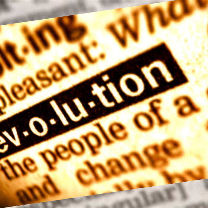 The Revolution Song | Sammy Morgan