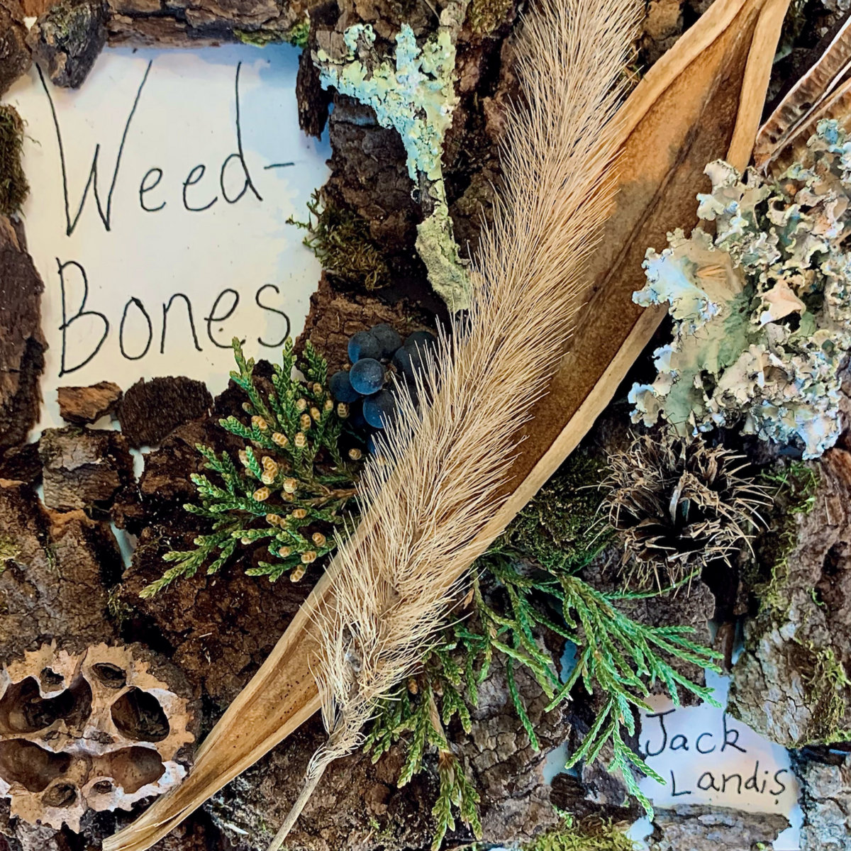 Weed-Bones EP | Jack Landis