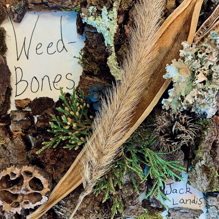 Weed-Bones EP | Jack Landis