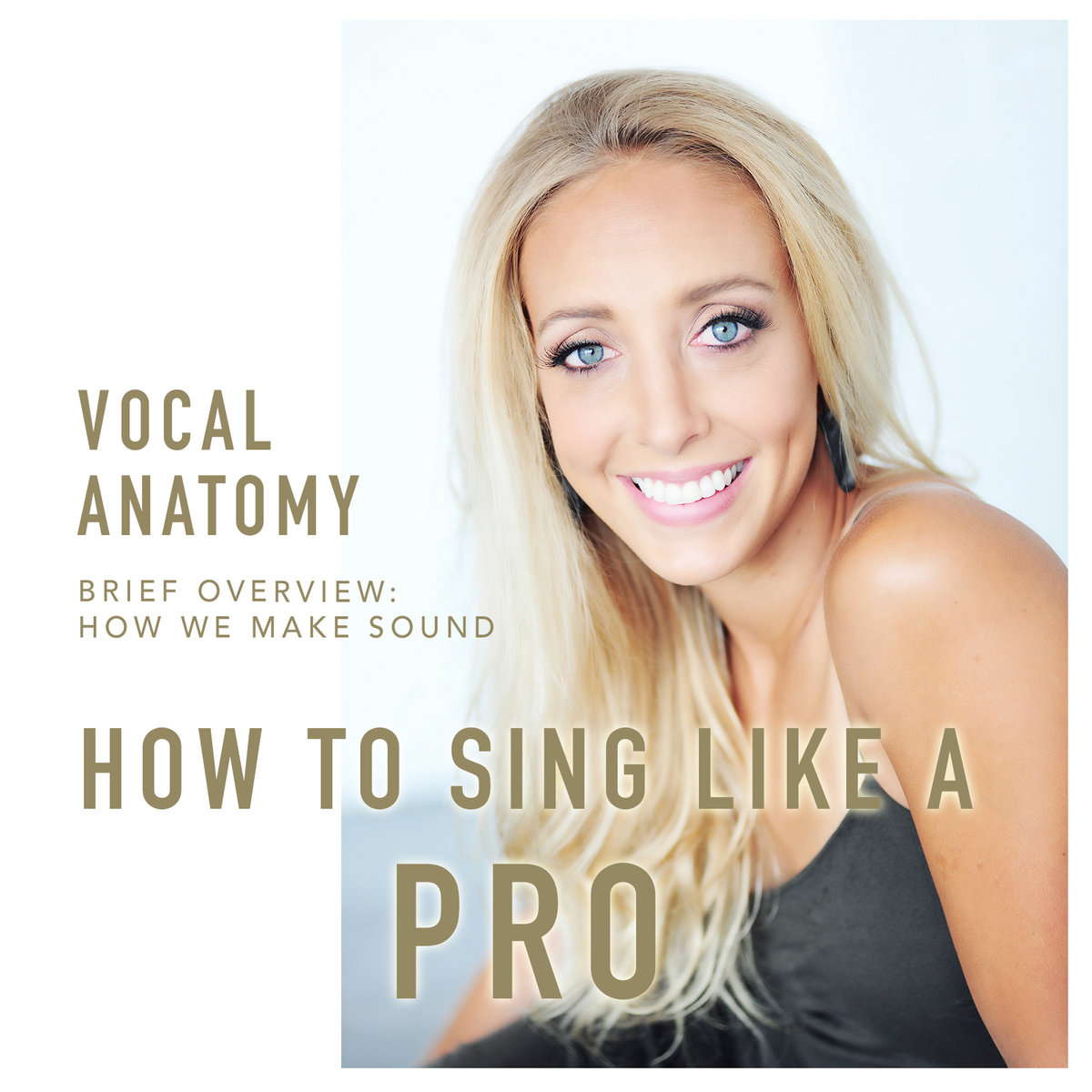 Singing Lesson 17 - Vocal Anatomy in 3 Parts: How We Make Sound | Laura Pro