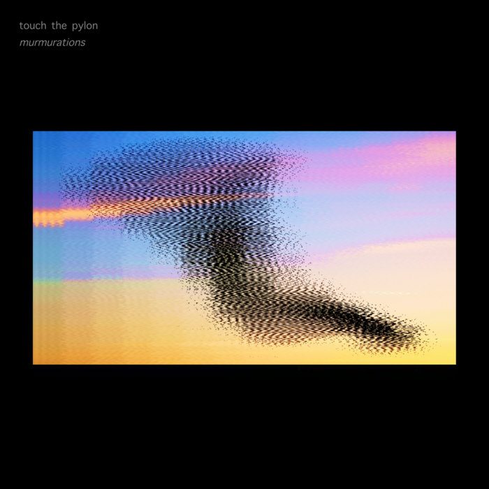 murmurations | touch the pylon