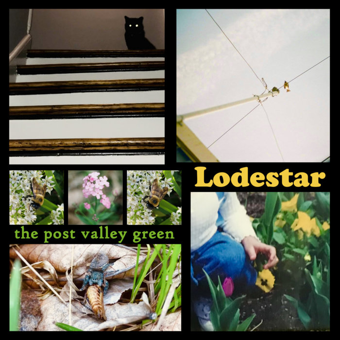Lodestar | the post valley green