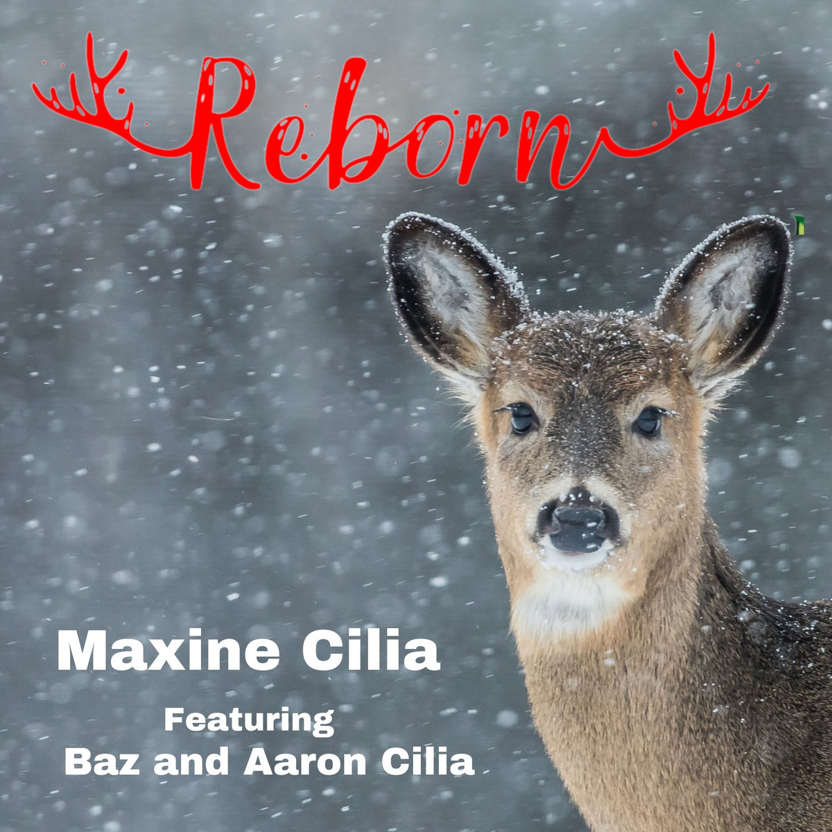 Reborn | Cilias - Max Cilia, Baz Cilia and Aaron Cilia | Maxine Cilia