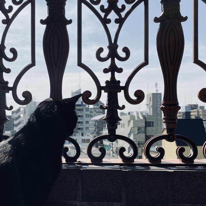 isolation | Ryo Murakami