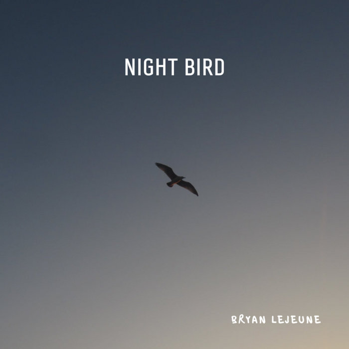 Night Bird | Bryan Lejeune