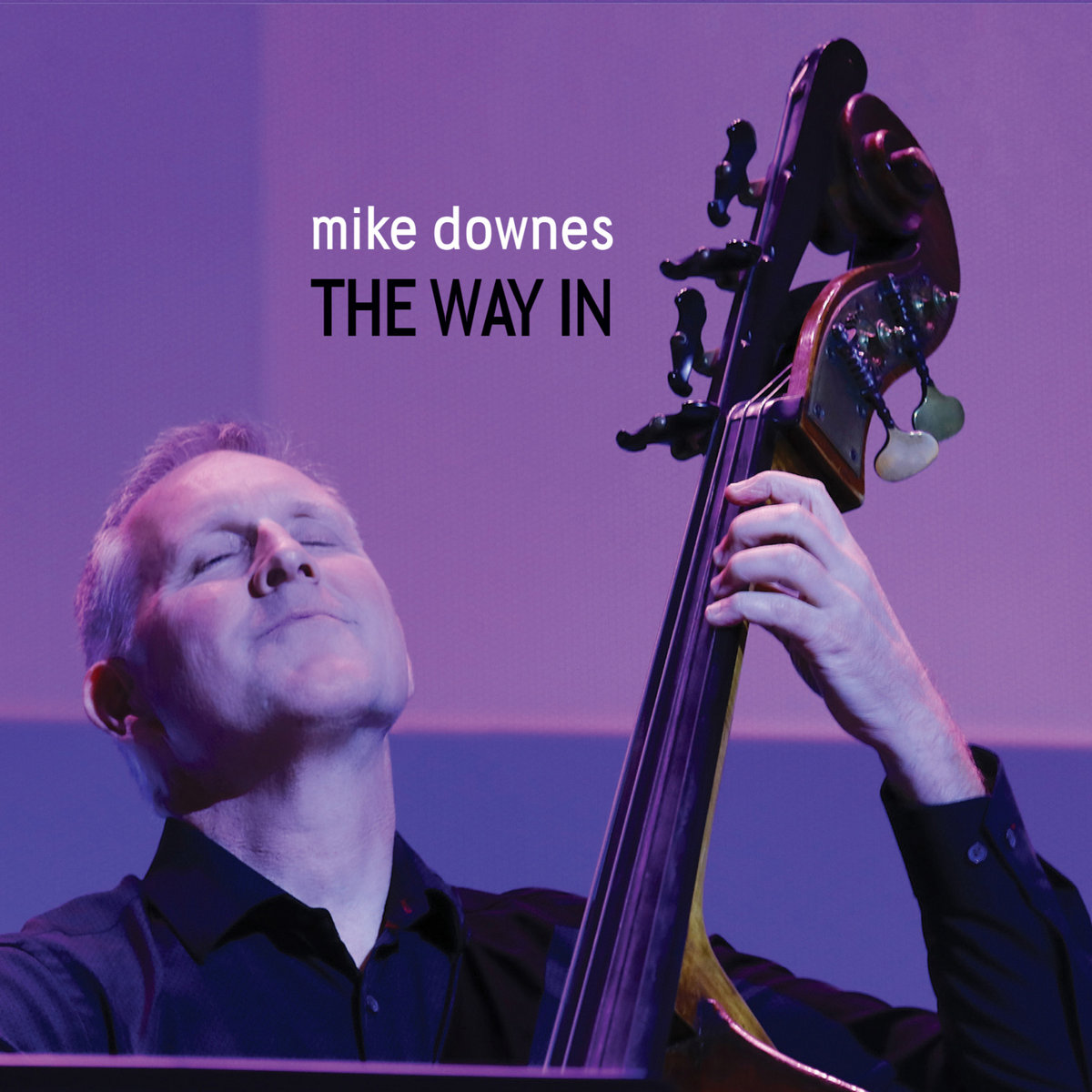 The Way In | Mike Downes