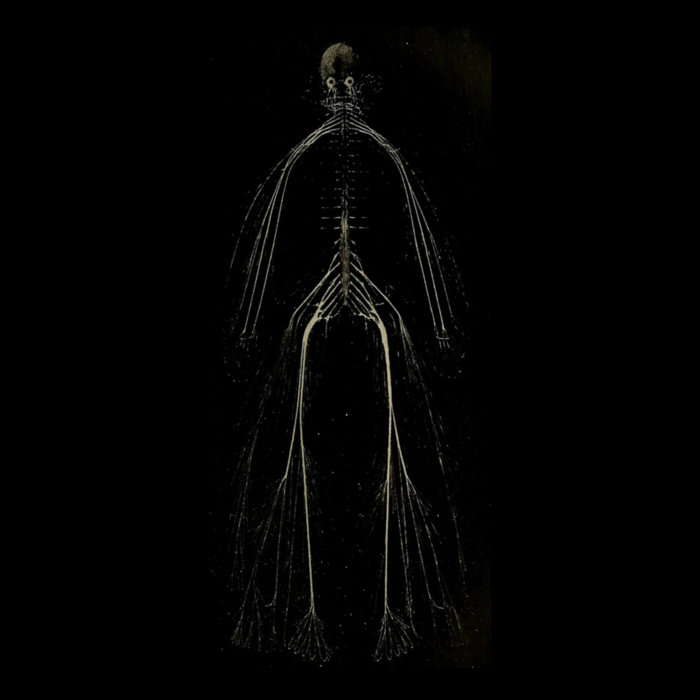 Fear of the Dark | Colossal Letdown | Brachliegen Tapes