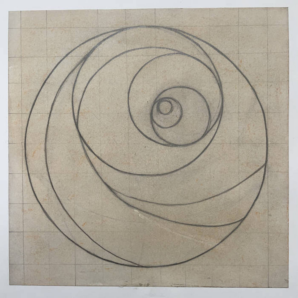 A Coiled Form | Sarah Saviet