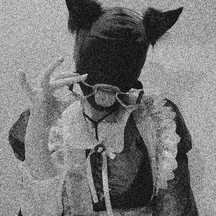 CocoPie 扣扣派CocoPie 扣扣派CocoPie 扣扣派 | PROJECT NOISE STUDIO | Deadprocces ...