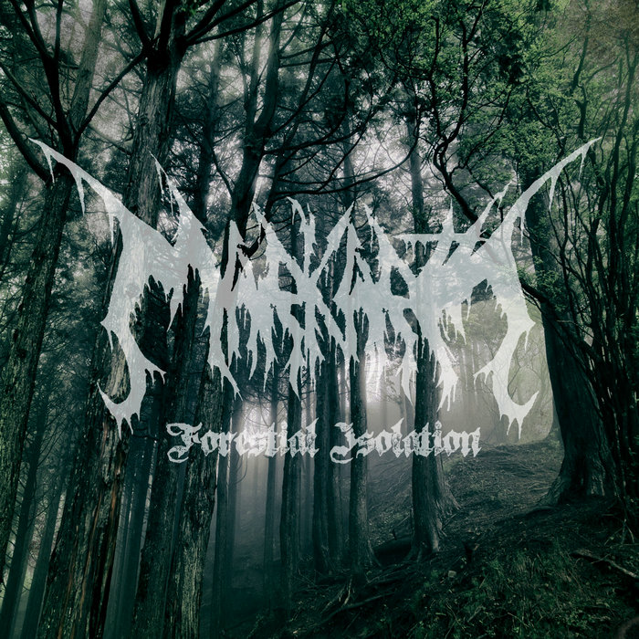 Forestial Isolation | Markarth | Forests Of Seclusion Productions