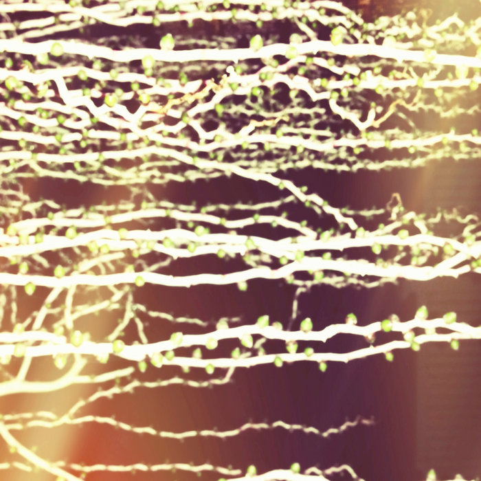Tiny Points of Light | Nicholas Marsh