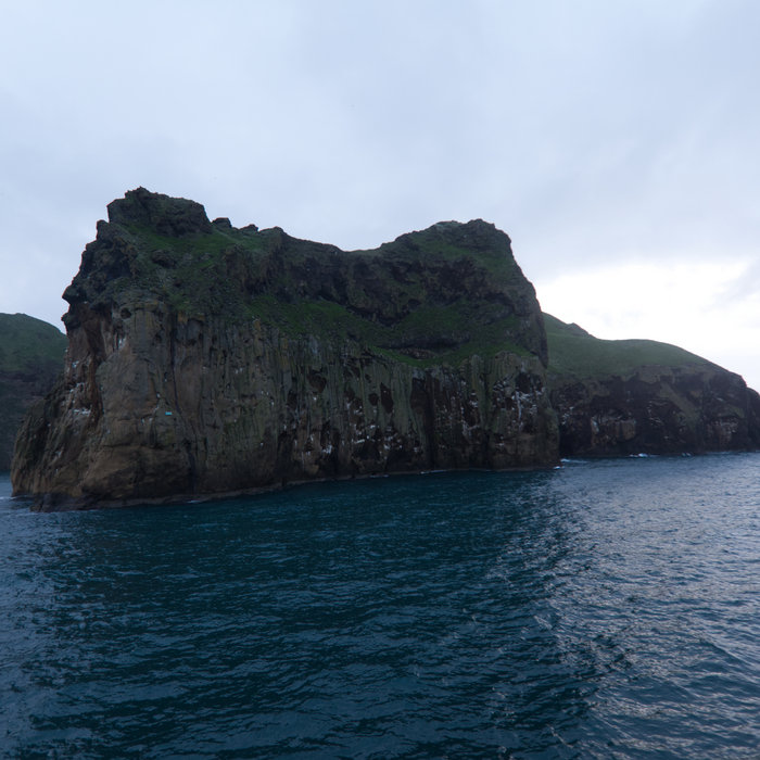 MOONDTTR + GEMINIDTTR | Timothy Cleary