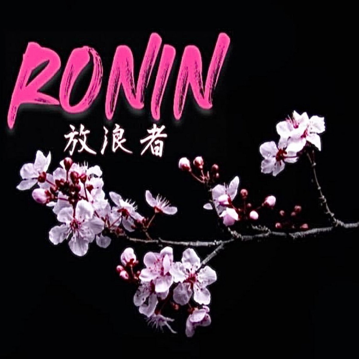 RONIN I | RONIN 放浪者
