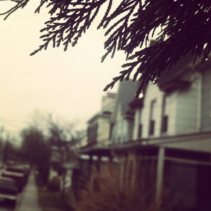 the longest, grayest days | p.zorito