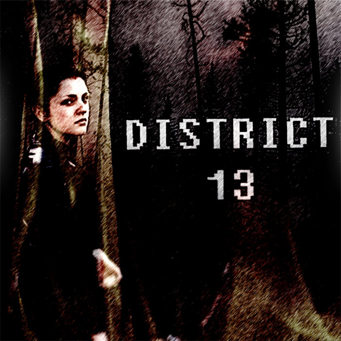 District 13 | District 13