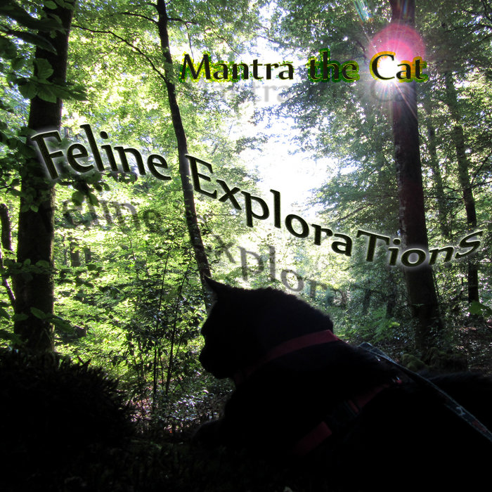 Feline Explorations | Mantra The Cat