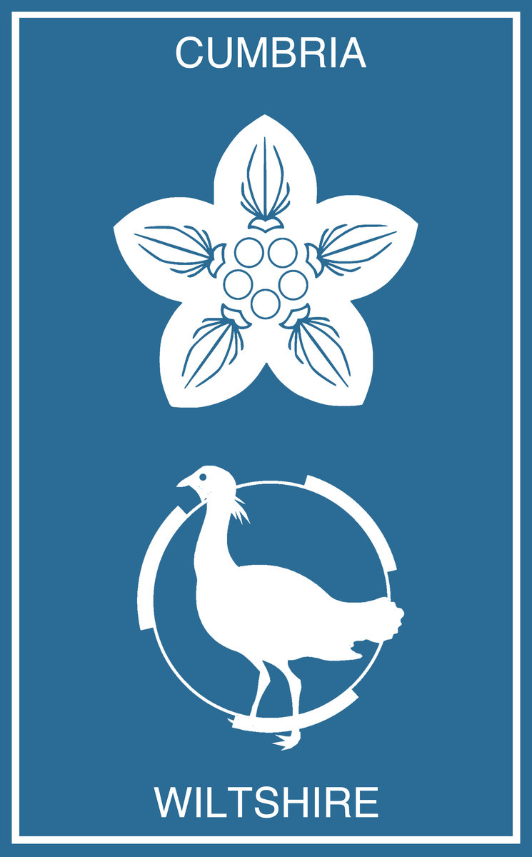 Ceremonial County Tapes Vol.XXIV - Cumbria | Wiltshire | Folklore Tapes