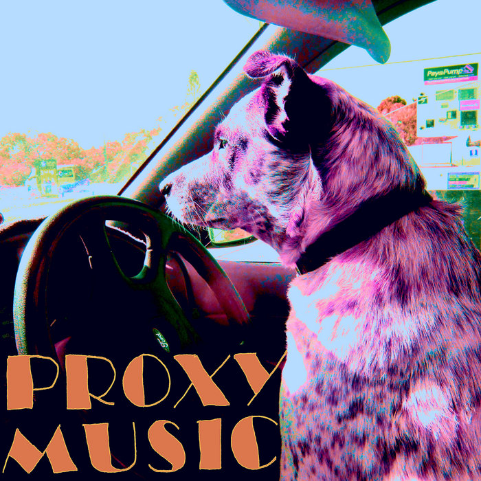 Proxy Music | The Dressing Gowns