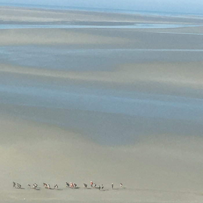 Problems With Light | Washing Machine