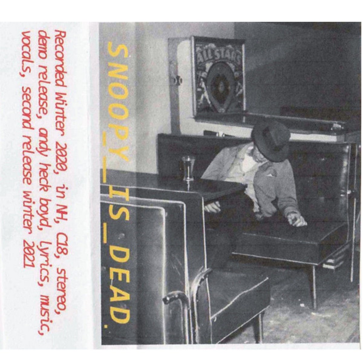 snoopy is dead | the snoopy is dead cover band | andy heck boyd