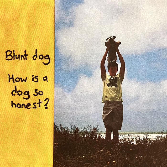How is a dog so honest? | Blunt dog