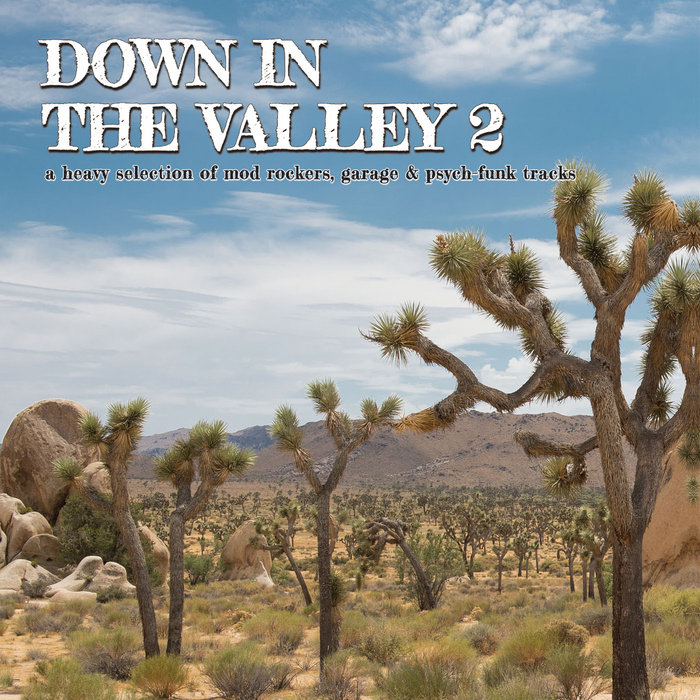 Down In The Valley 2 | V/A | perfecttoyrecords