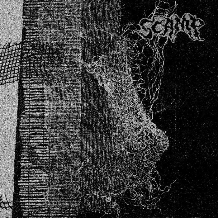 Getir | SCAMP