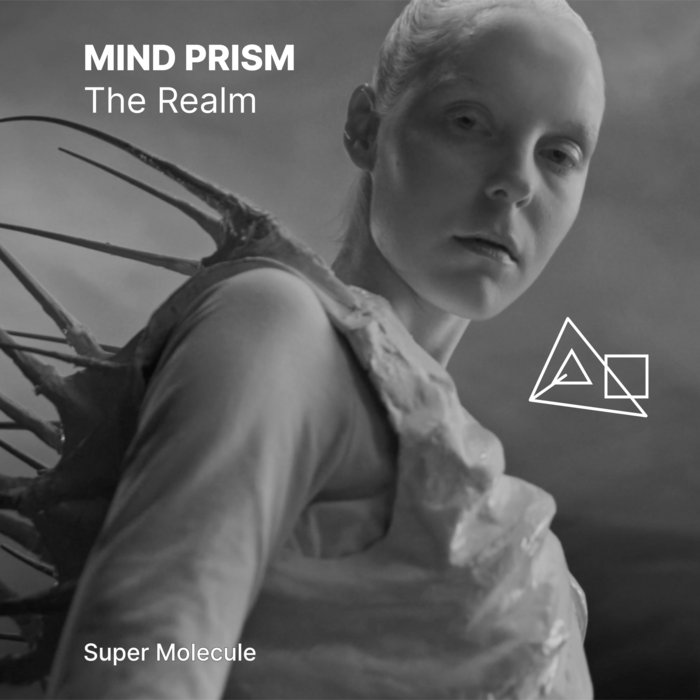 The Realm | Mind Prism
