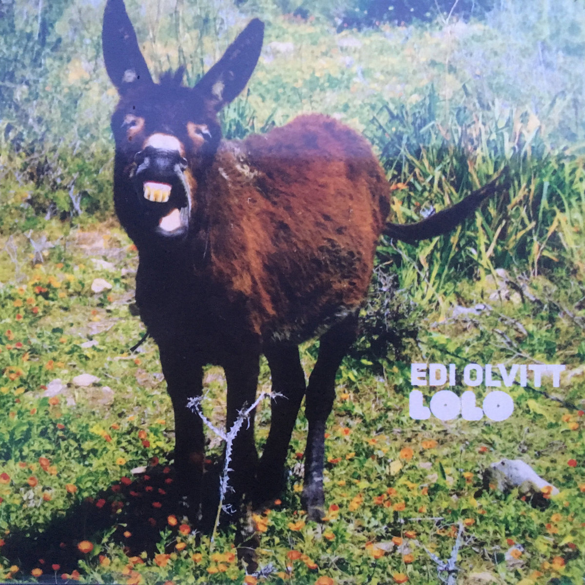 Lolo | Edi Olvitt | Nicolas Chkifi