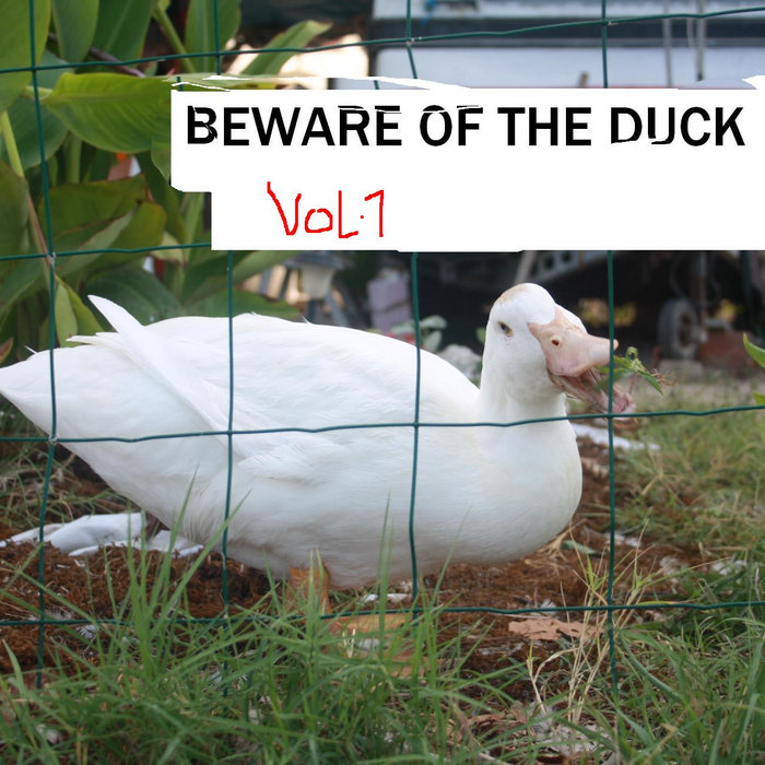VOL1 | BEWARE OF THE DUCK