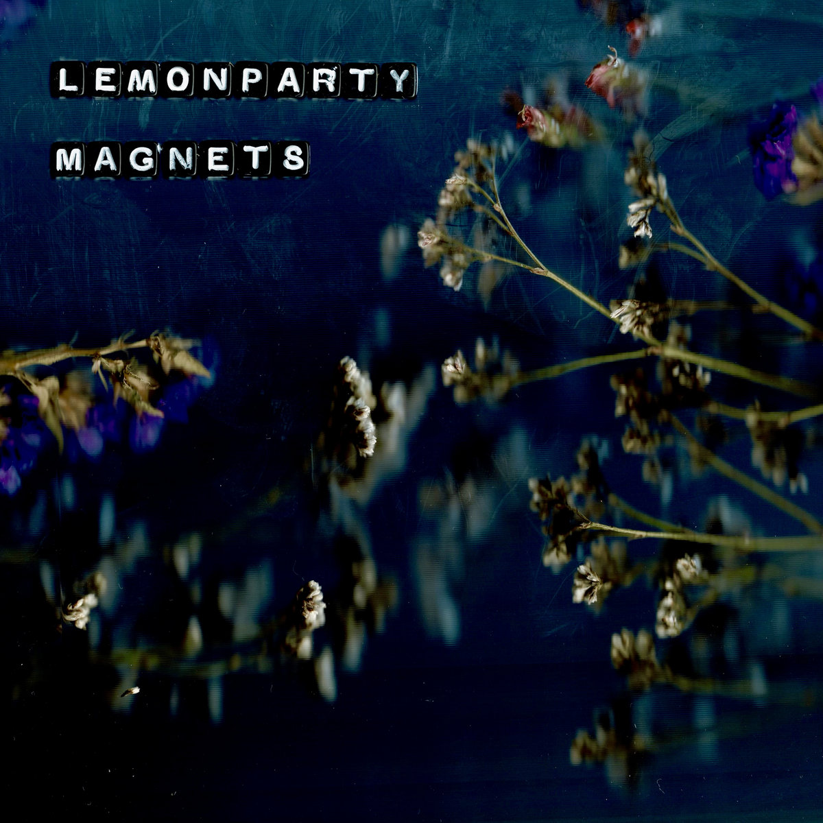 Magnets | LEMONPARTY