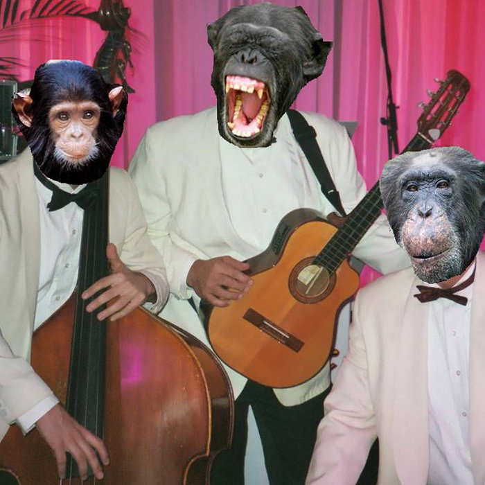 Super Chimp Part I | Super Chimp