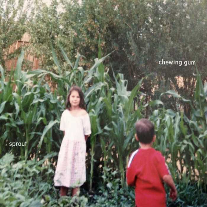 chewing gum | Sprout
