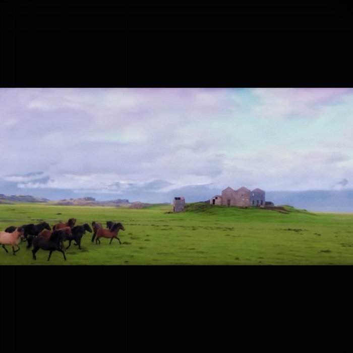 Prelude: Horses | Vincent McGovern | VJM