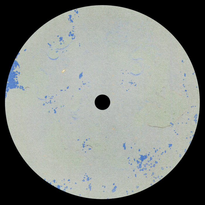 untitled | Coded Forms | Kino Disk