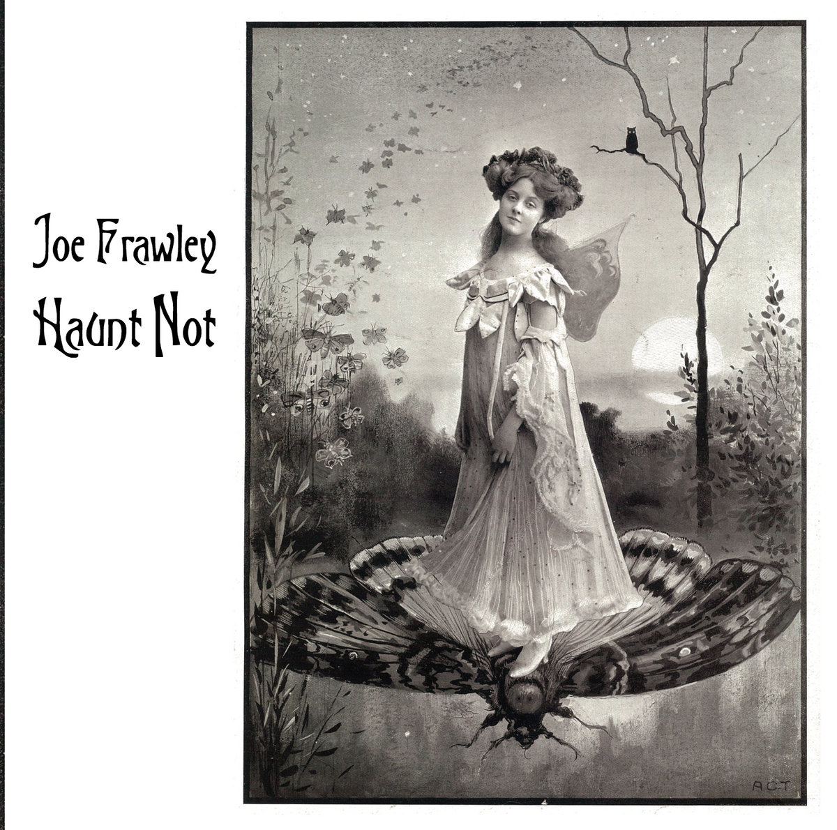 Haunt Not | Joe Frawley