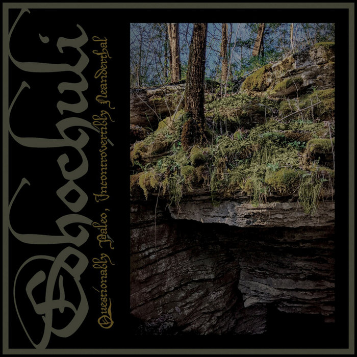 Questionably Paleo, Incontrovertibly Neanderthal(Single) | edhochuli