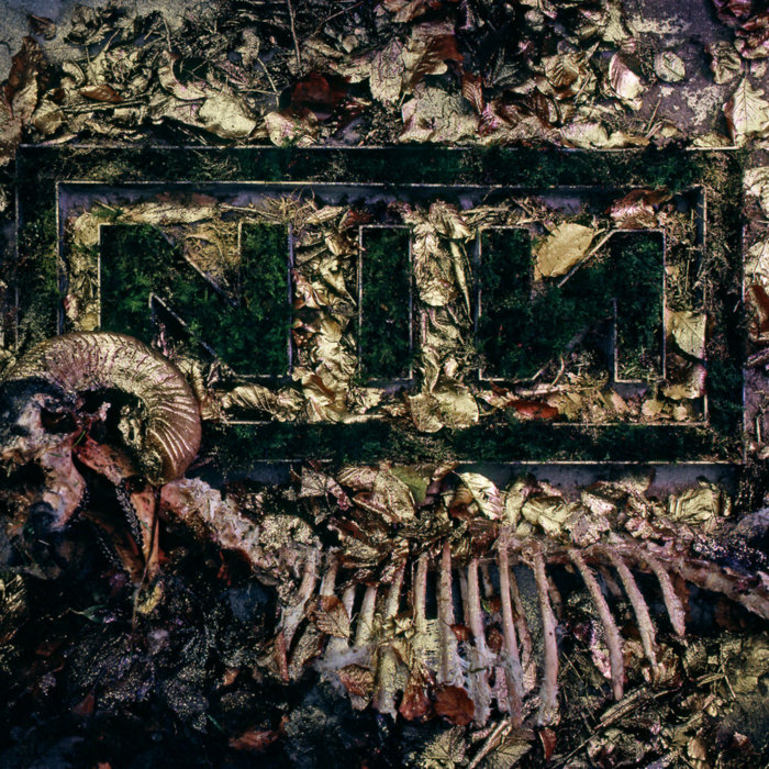 New NIN Idea | Isaac Saunders