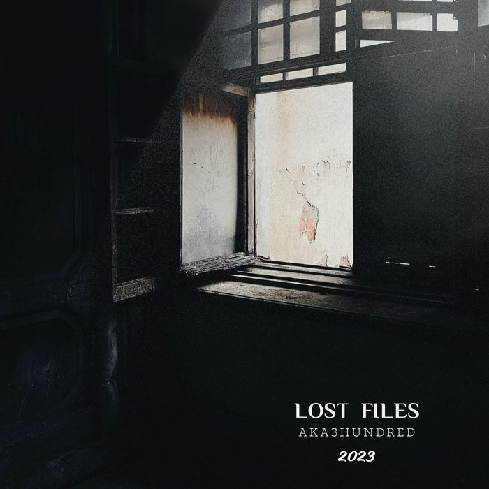 Lost Files 2023 | aka3hundred | Aka3Hundred