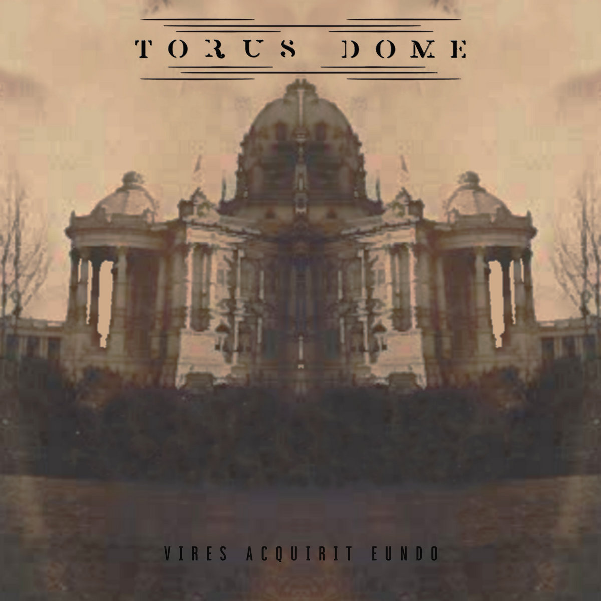 Vires Acquirit Eundo | Torus Dome | thorusdome