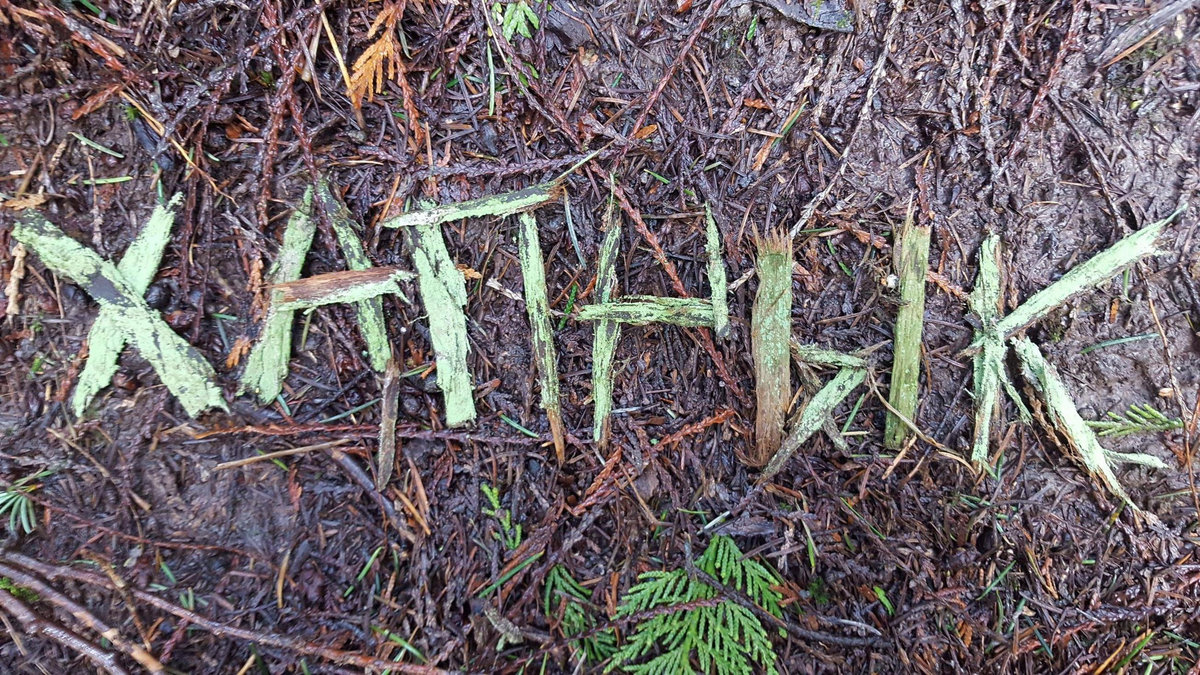 Хапчык & Dan Sasaki | Xapchyk