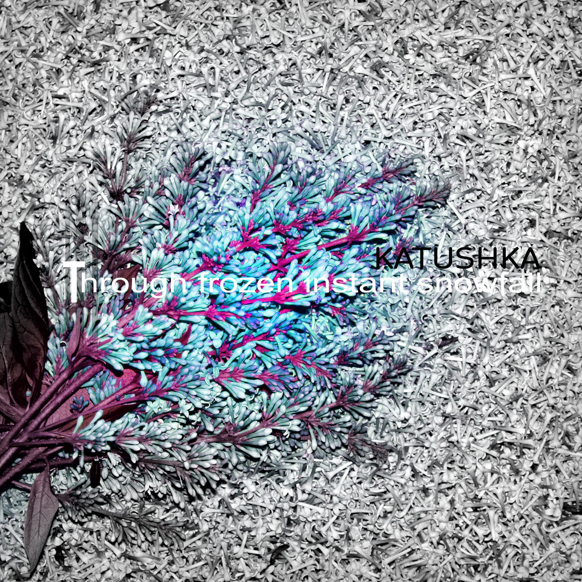 Through frozen instant snowfall (single) | Katushka
