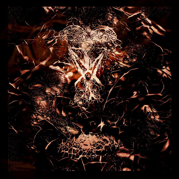 One Step Forward, One Leap Back | G R I S T