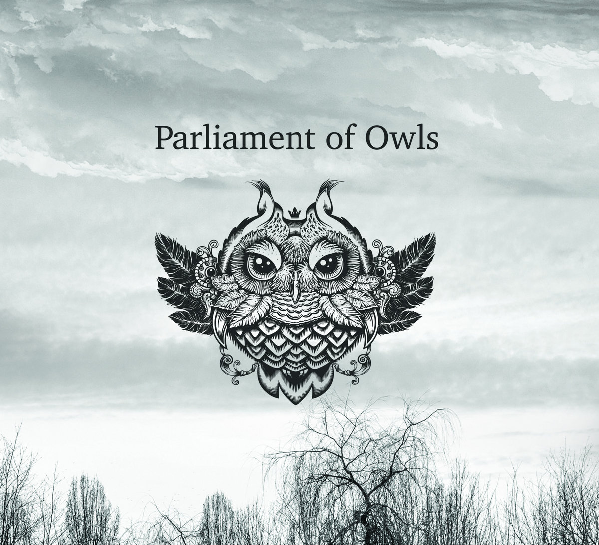 Parliament of Owls | Andrew Christopher - Parliament of Owls