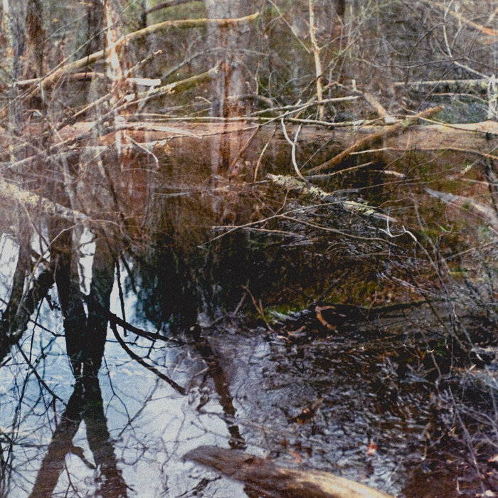 harsh realm | burner account