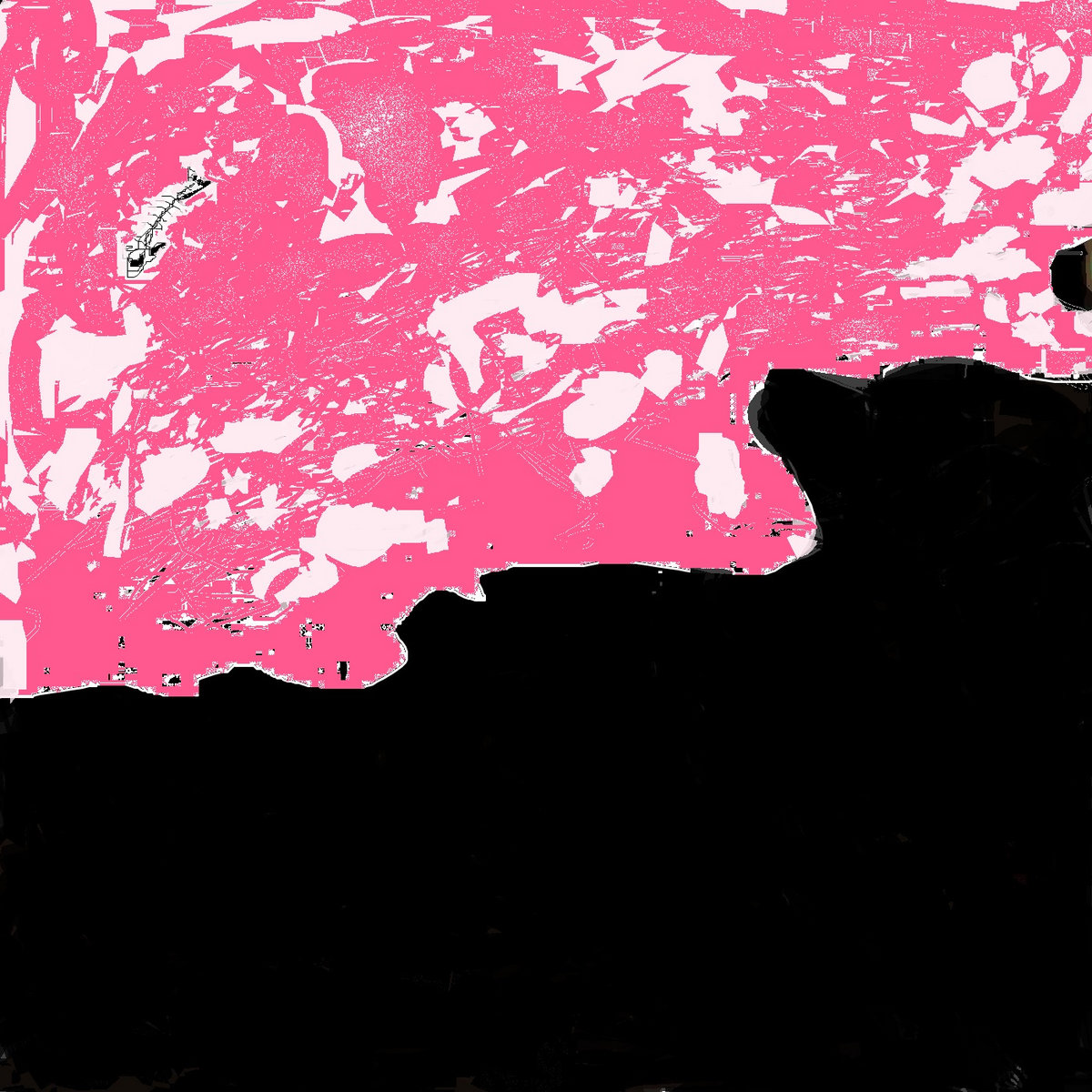 THE SUN ON THE SUMMIT / THE SHADOW IN THE VALLEY | RAY SHINN